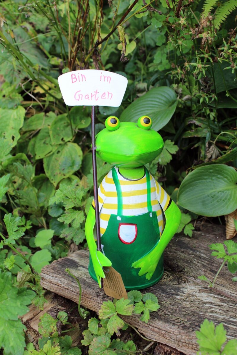 Zaunhocker Frosch Bin im Garten, 15,90 Zaunhocker Frosch Bin im Garten, 15,90